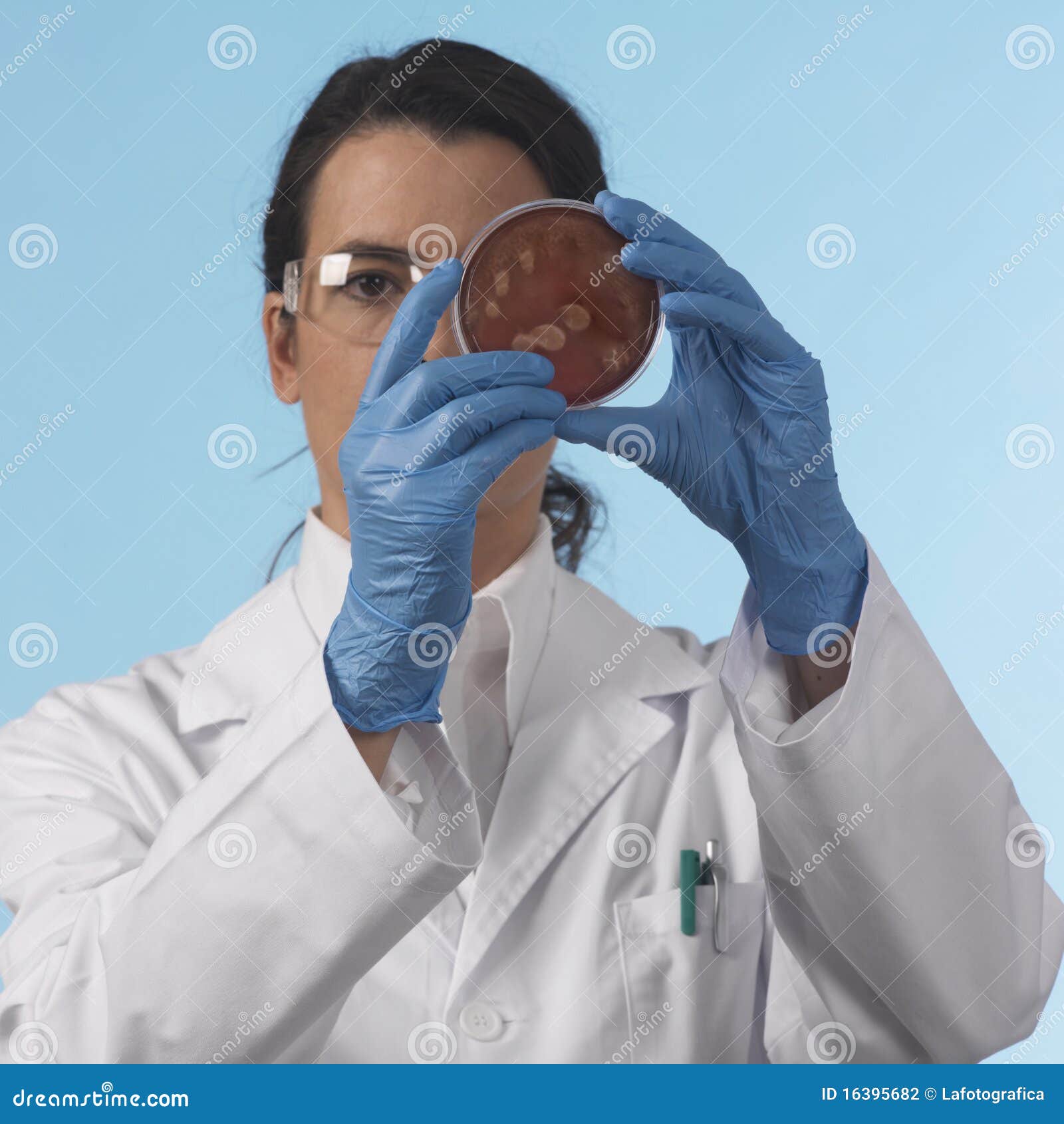 Scientis with petri plate stock photo. Image of culture - 16395682