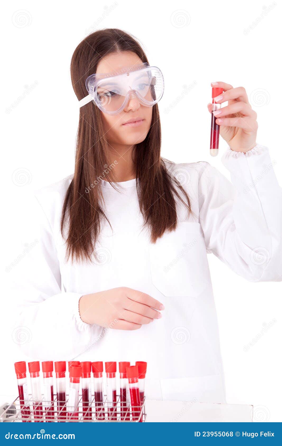 Scientist stock photo. Image of clinic, equipment, discovery - 23955068