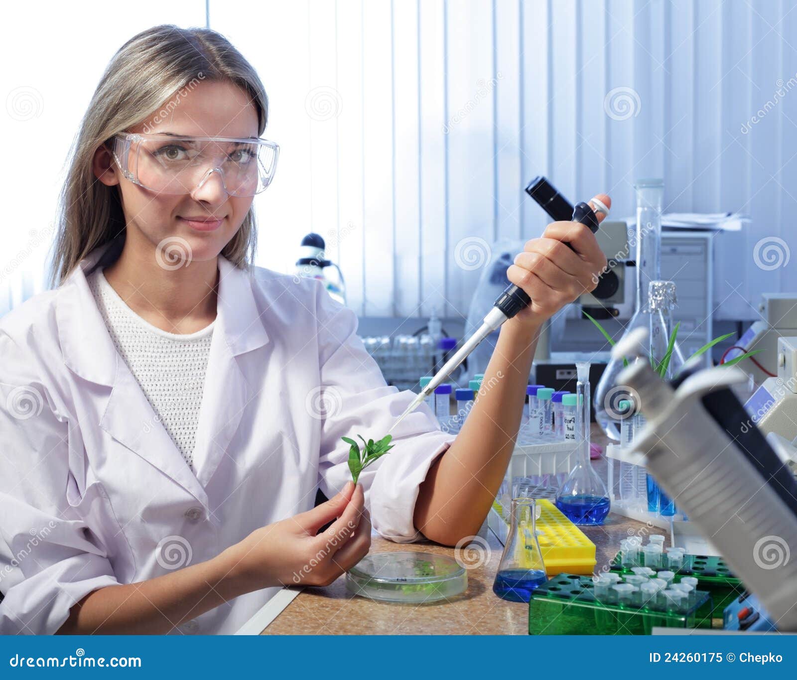 Scientist stock image. Image of chemical, examining, expertise - 24260175