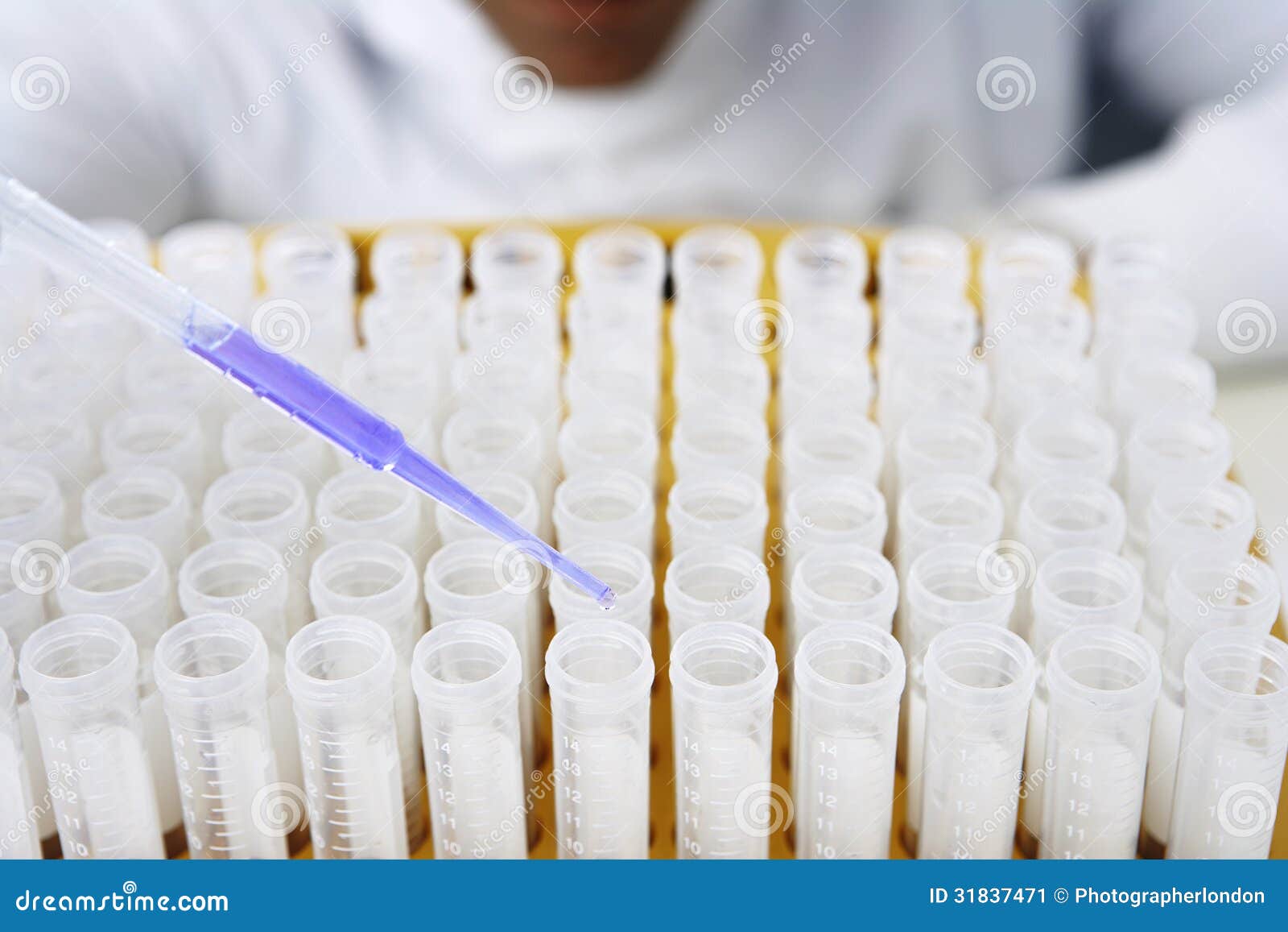 Scientist Adding Solution To Test Tubes Stock Image - Image of research ...