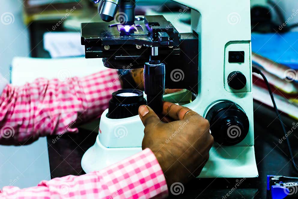Scientist Adjusting Knobs of a Light Microscope Stock Image - Image of ...
