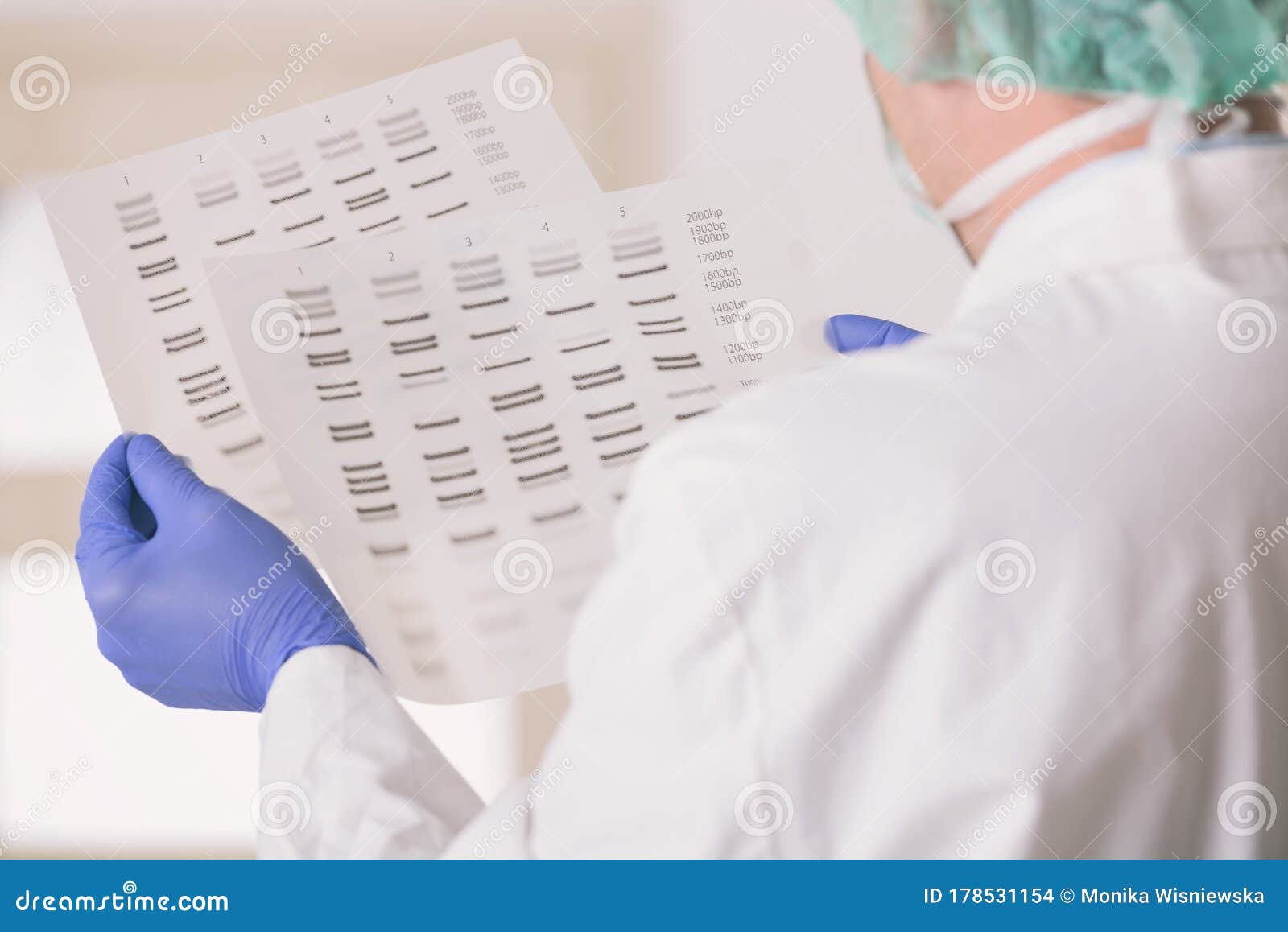 Scientist Analizing DNA Sequence Stock Photo - Image of biochemistry ...