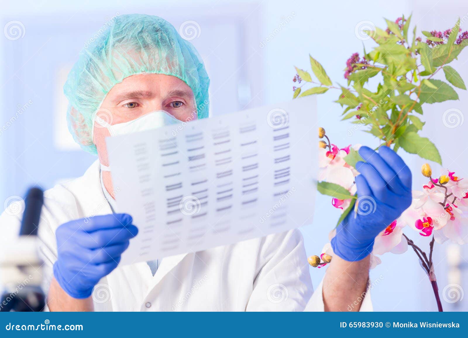 Scientist Analysing DNA Sequence in the Lab Stock Photo - Image of ...
