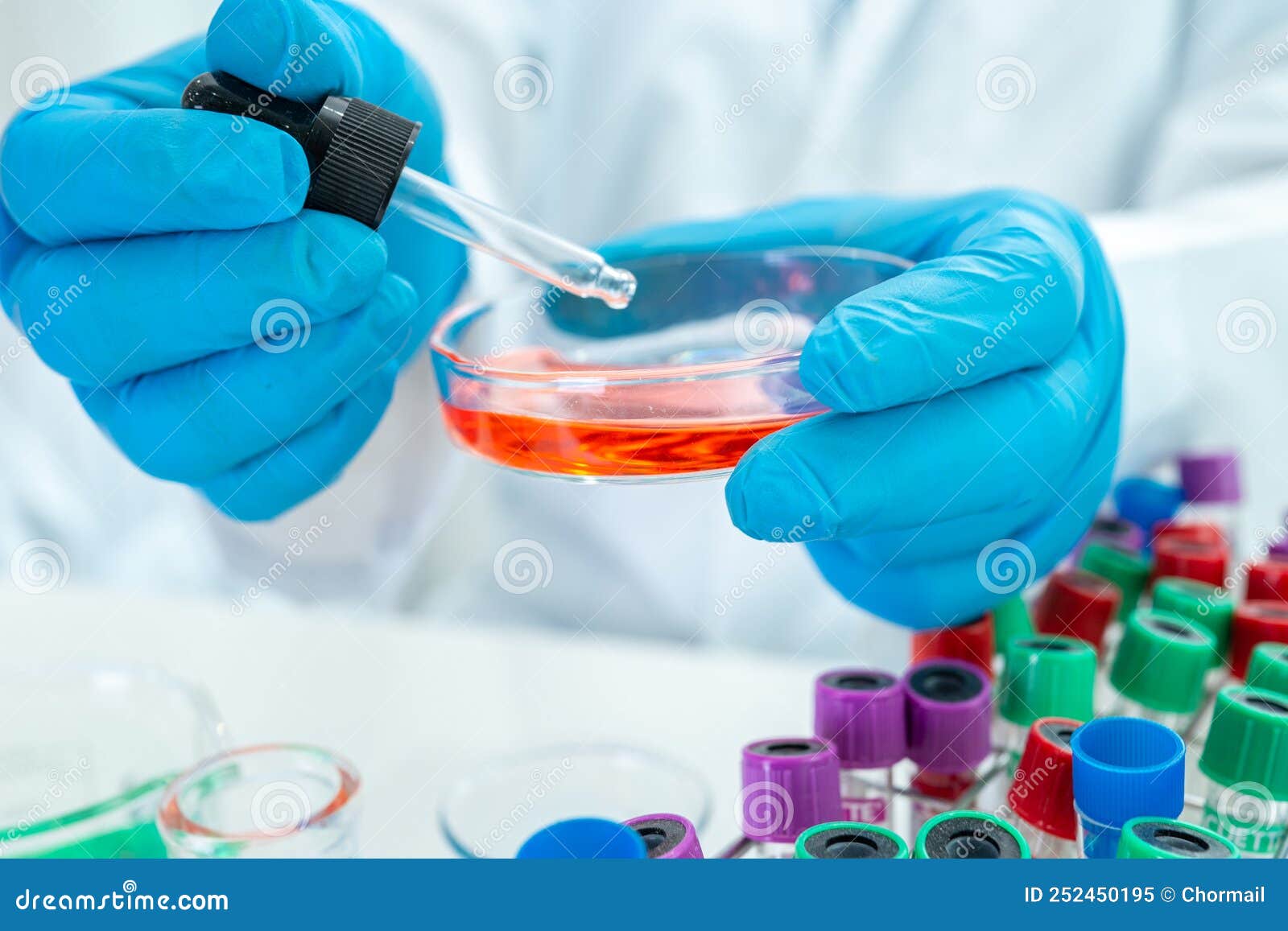 Scientist Analysis Micro Biological Sample in Laboratory for Doctor in ...