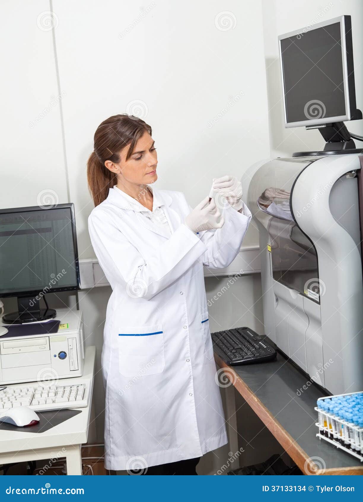 Scientist Analyzing Blood Sample for Coagulation Stock Photo - Image of ...