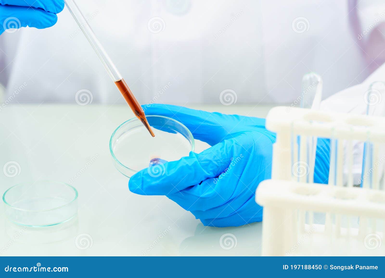 Scientist Analyzing a Blood Sample on Tray in Laboratory Stock Photo ...