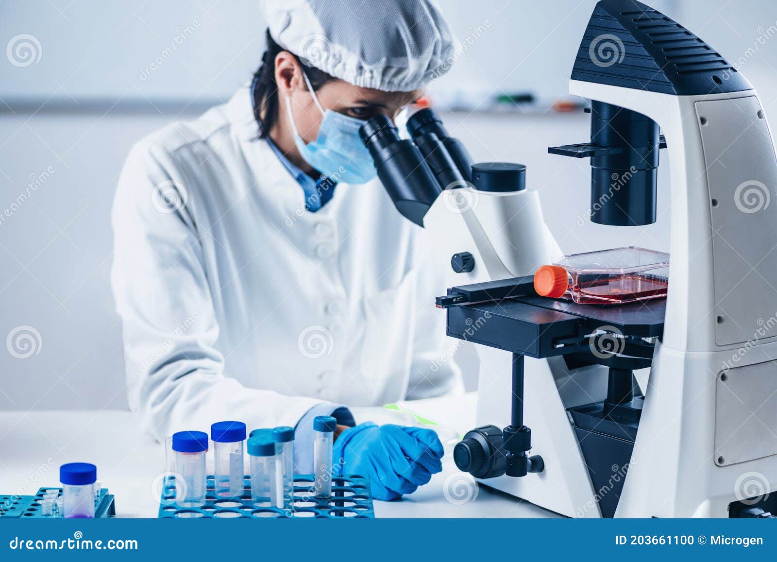 Scientist Analyzing Cultured Artificial Meat Sample Under the ...