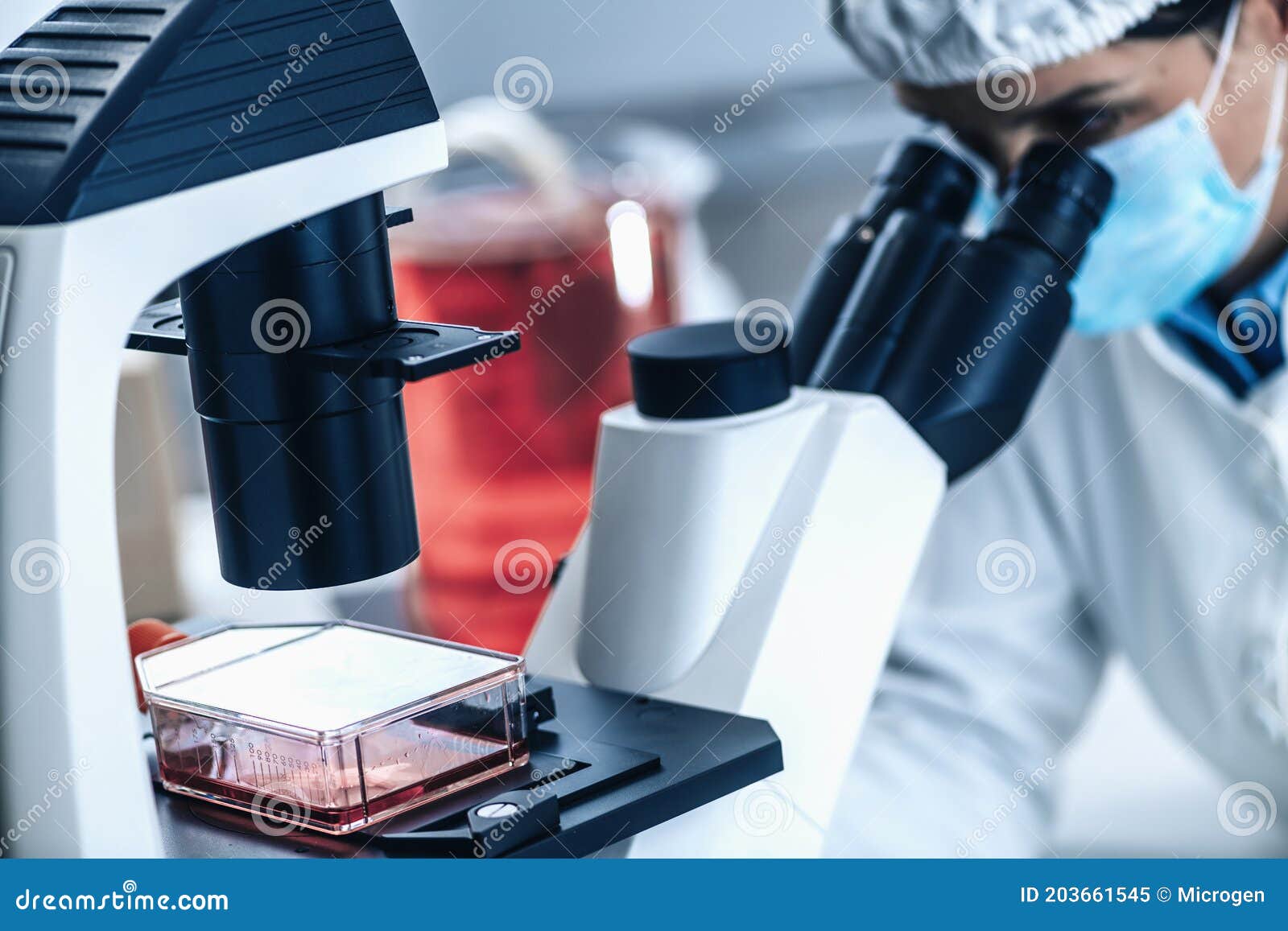 Scientist Analyzing Cultured Artificial Meat Sample Under the ...