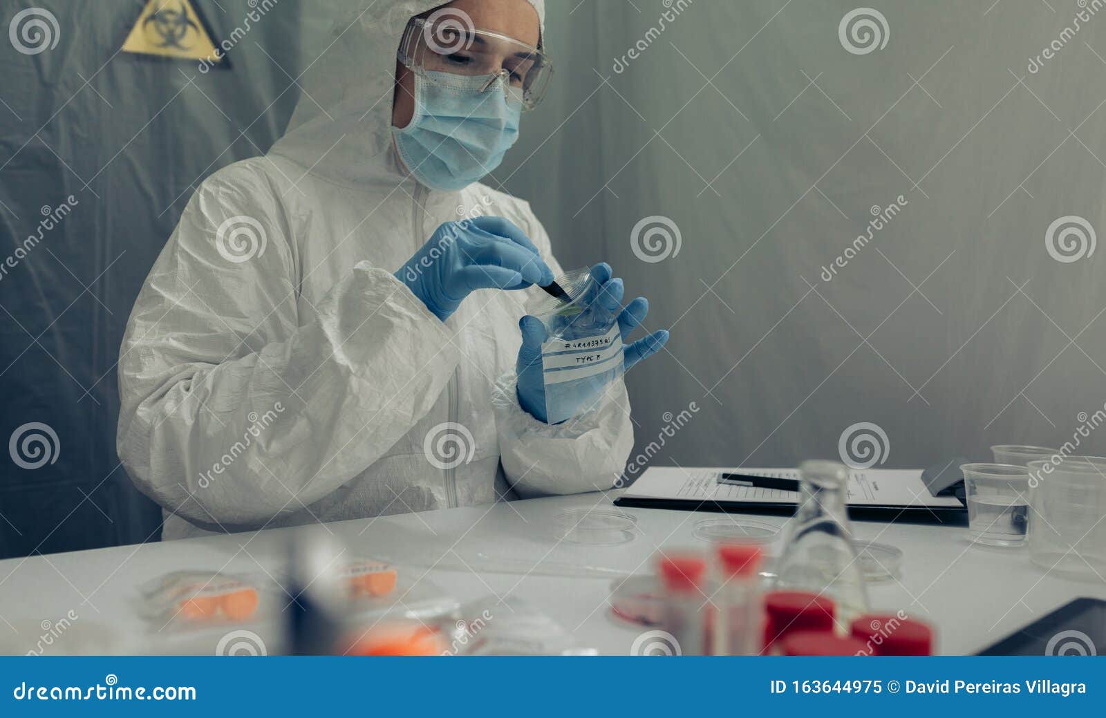 Scientist Analyzing Samples Contaminated with Virus Stock Image - Image ...