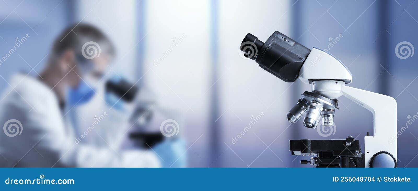 Scientist Analyzing Samples Under the Microscope Stock Photo - Image of ...
