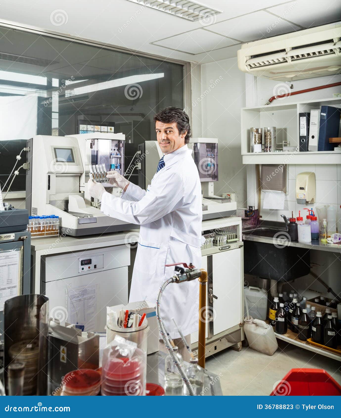 Scientist Analyzing Urine Samples in Laboratory Stock Image - Image of ...
