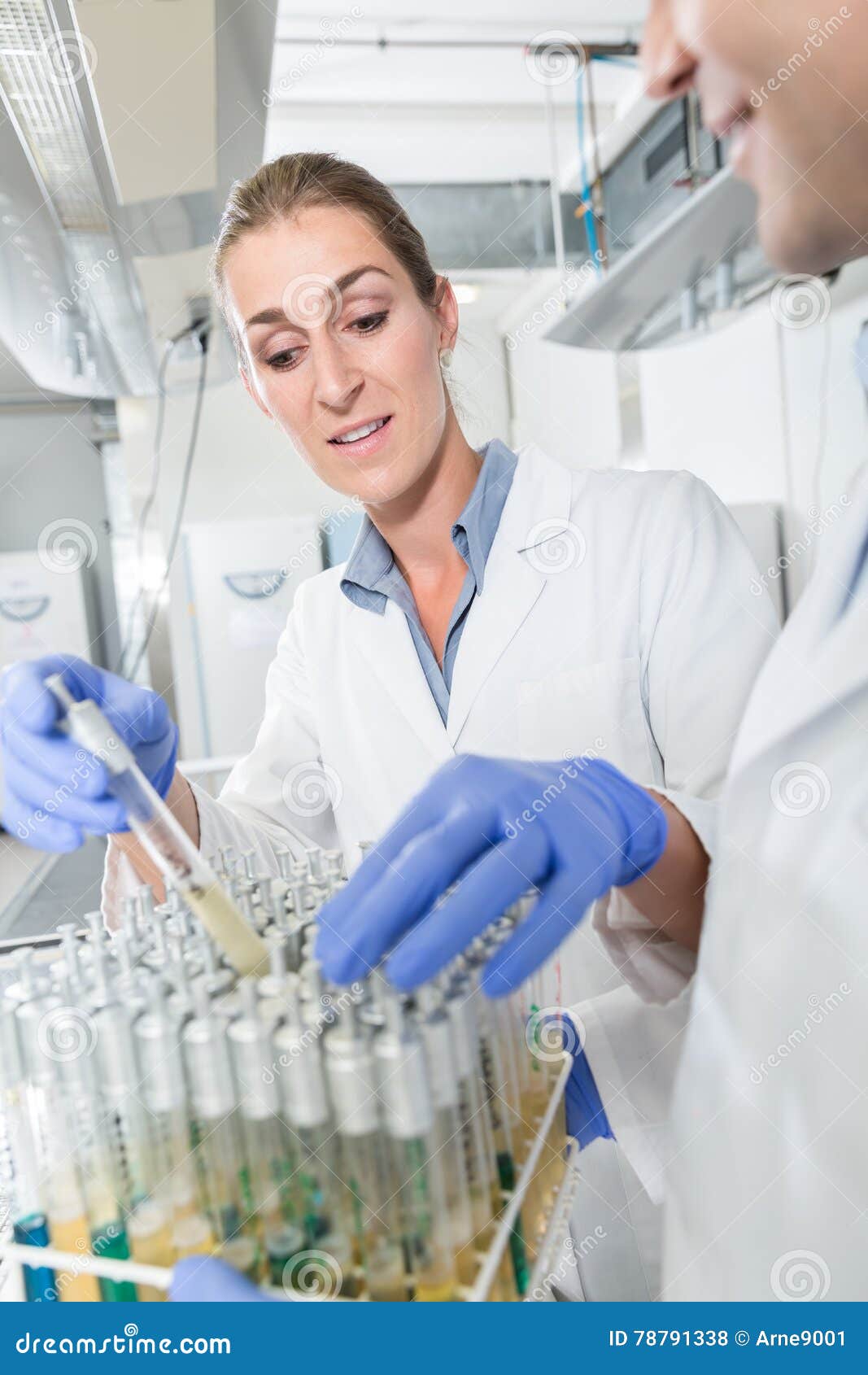 Scientist Arrange Samples for Test in Research Lab Stock Photo - Image ...