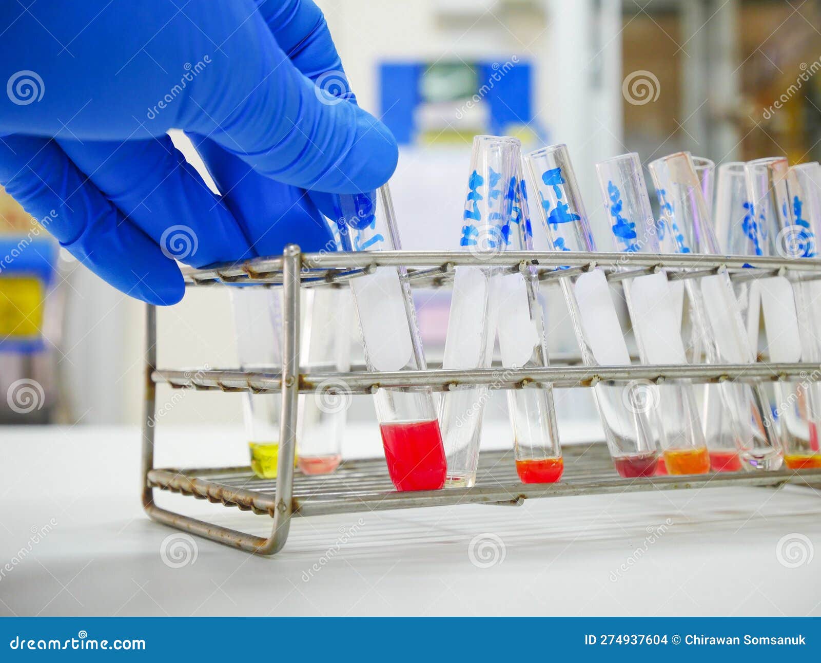 Scientist Testing Blood Grouping in Laboratory Stock Photo - Image of ...