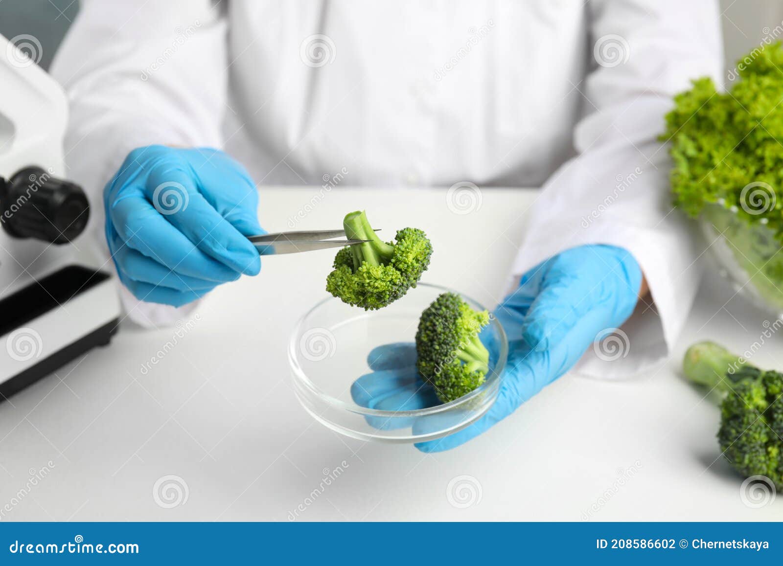 Scientist with Broccoli at Table in Laboratory, Closeup. Poison ...