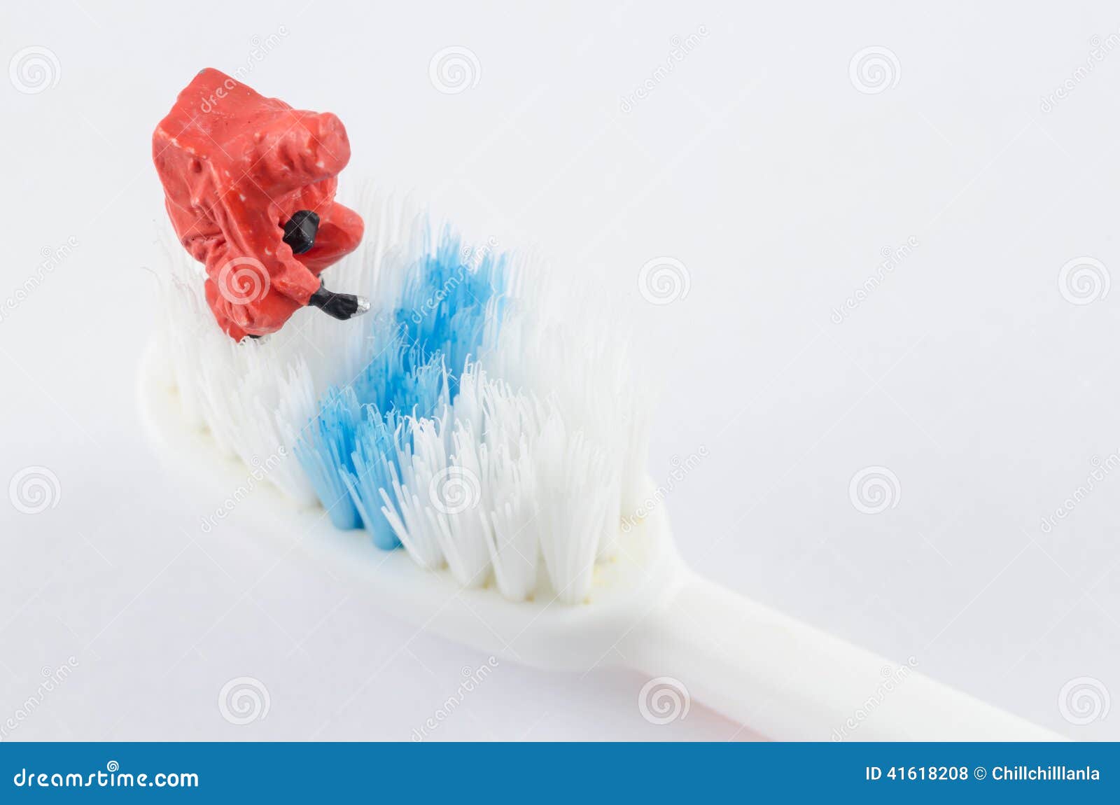 Scientist Checking Bacteria on the Toothbrush Stock Photo - Image of ...