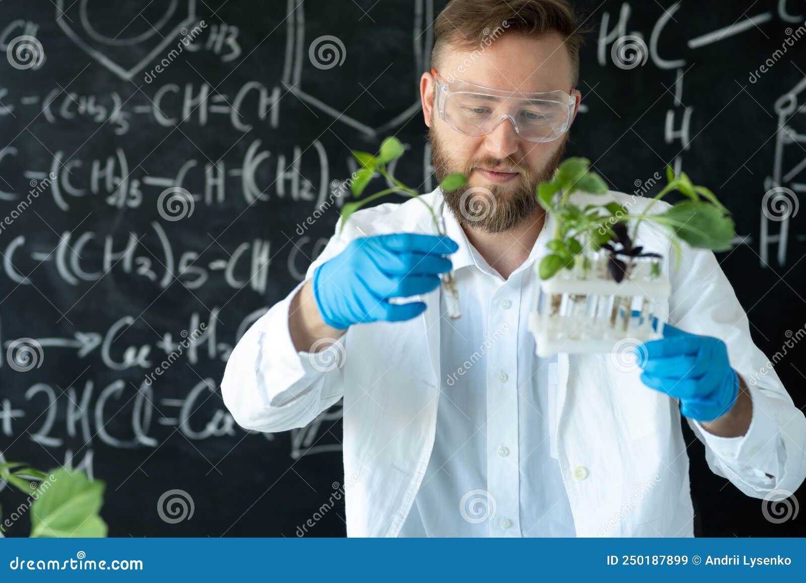 Blackboard With Formulas And Numbers Stock Photo | CartoonDealer.com ...