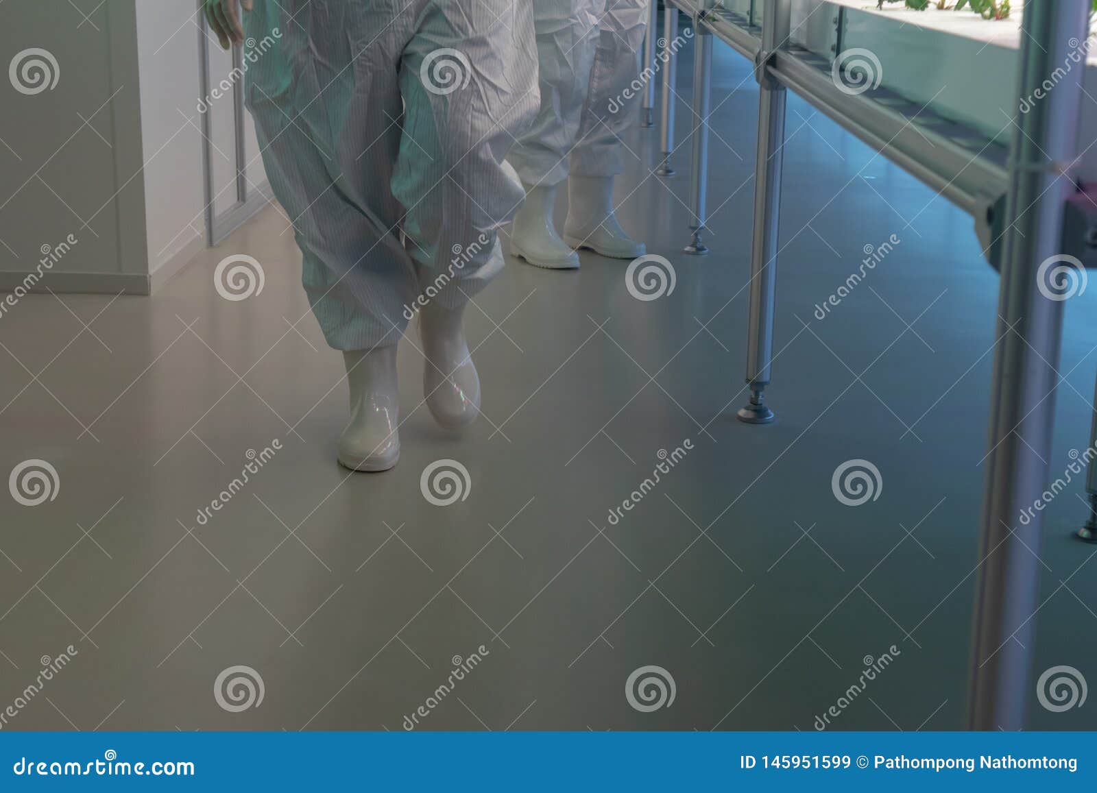 Scientist in Clean Suit with Hydroponic System Stock Image - Image of ...