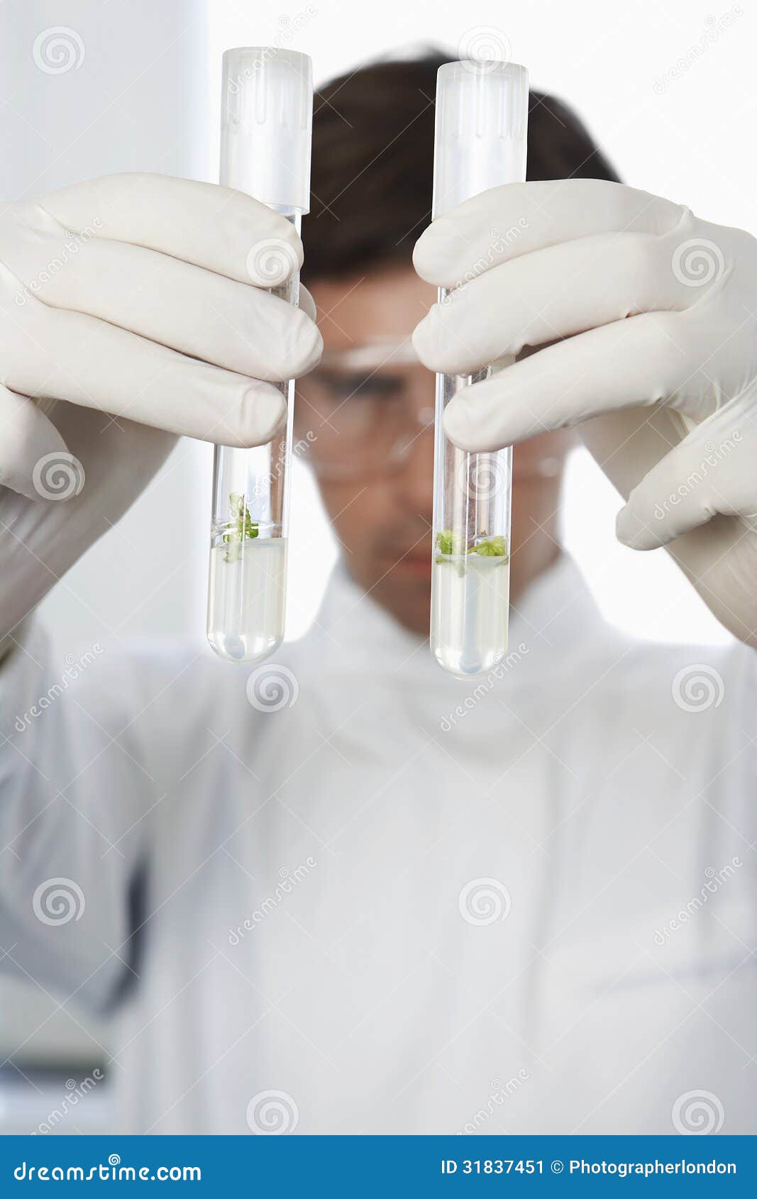 Scientist Comparing Two Test Tubes Stock Image - Image of comparison ...