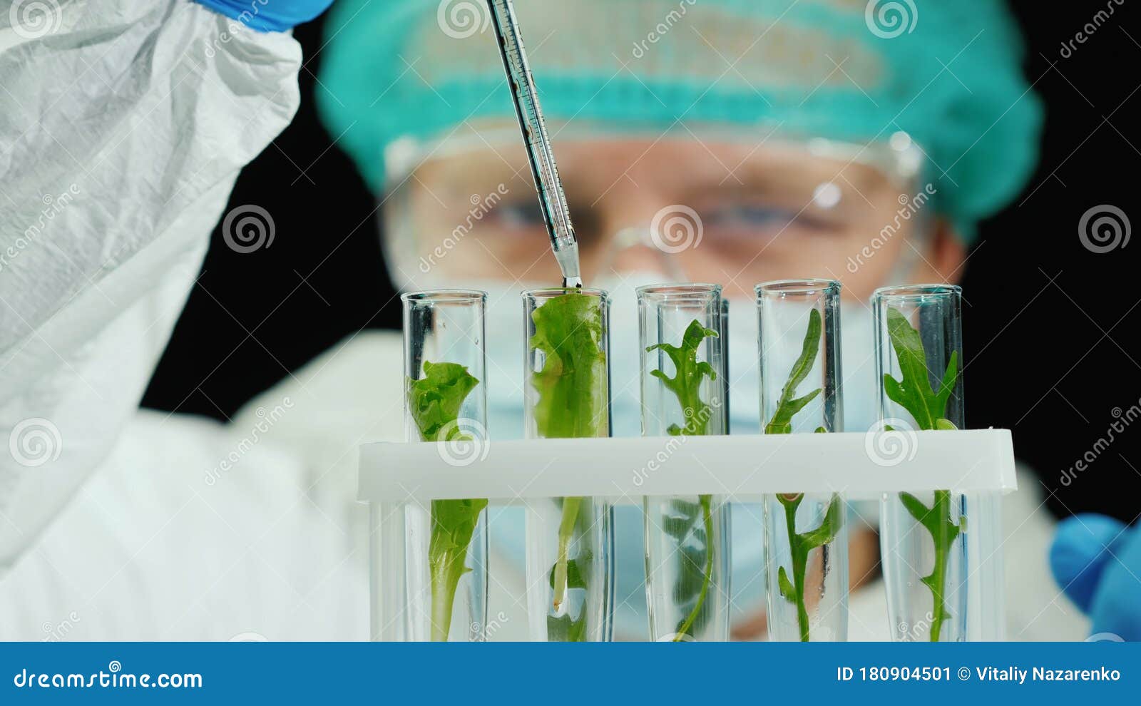 Portrait of a Scientist Working with Plant Samples in the Lab Stock ...
