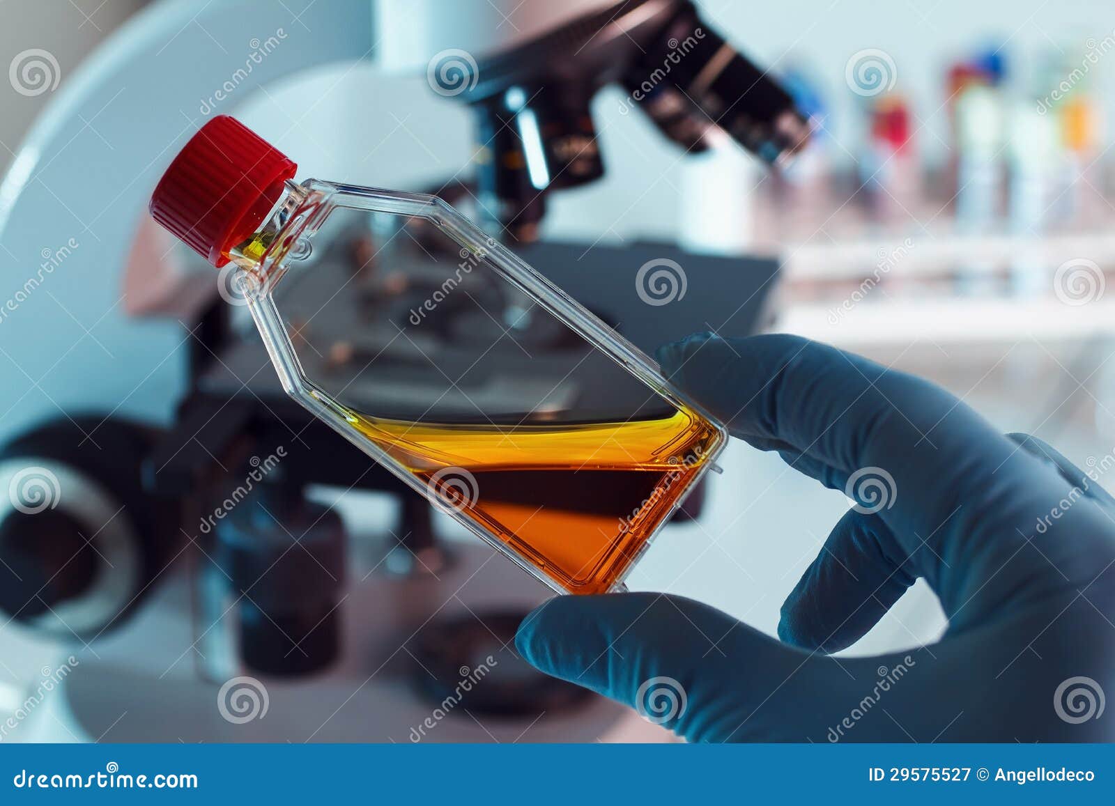 Culturing Work In Sterile Box With Bacteria, Laboratory Equpment ...