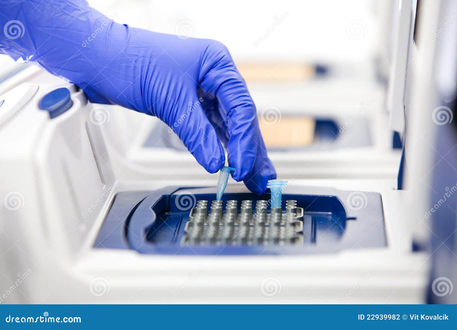 Scientist with DNA Copying, Stock Photo - Image of analyzing, reaction ...