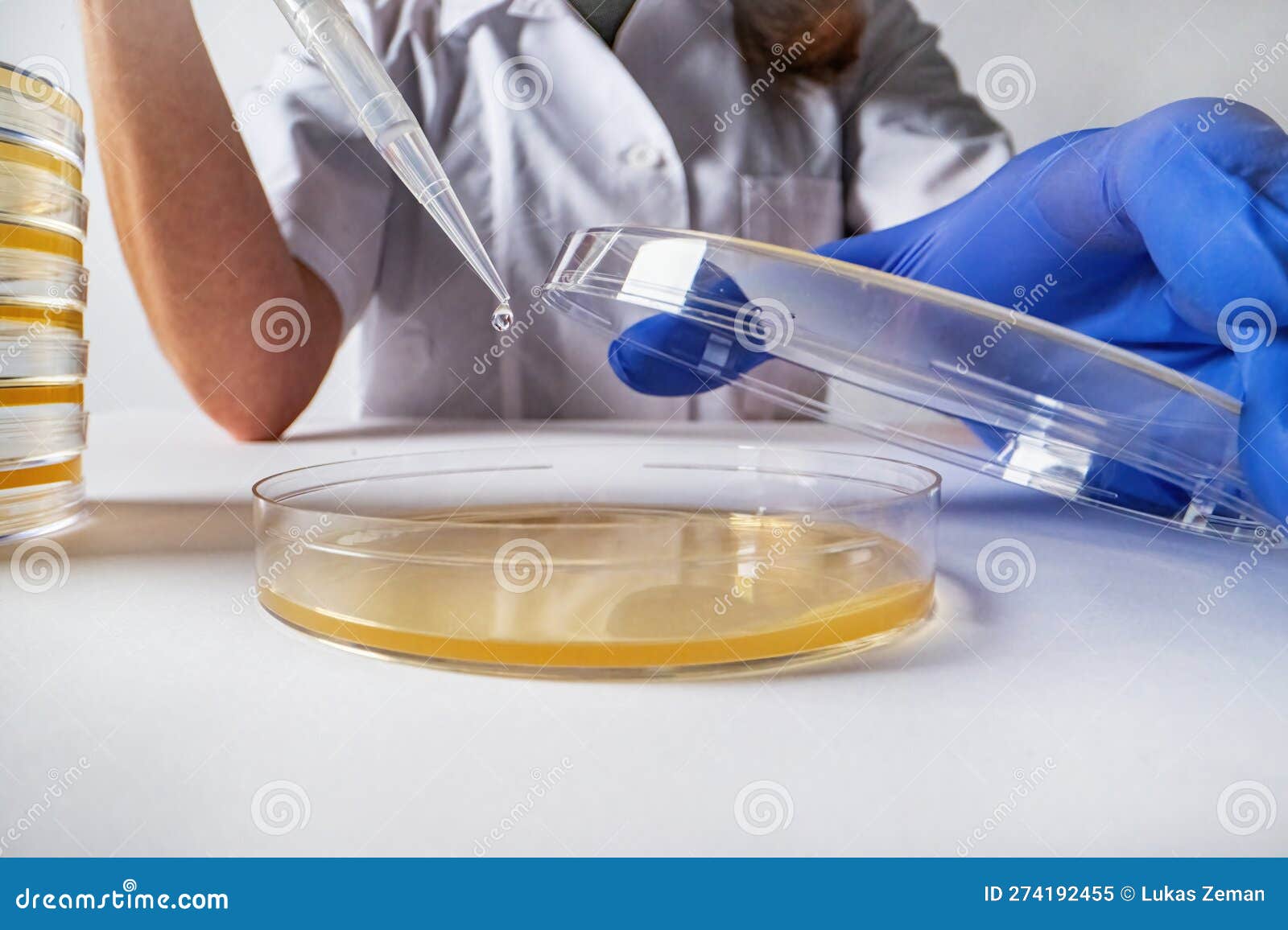 Scientist Doctor Drips a Sample into a Beaker Stock Image - Image of ...