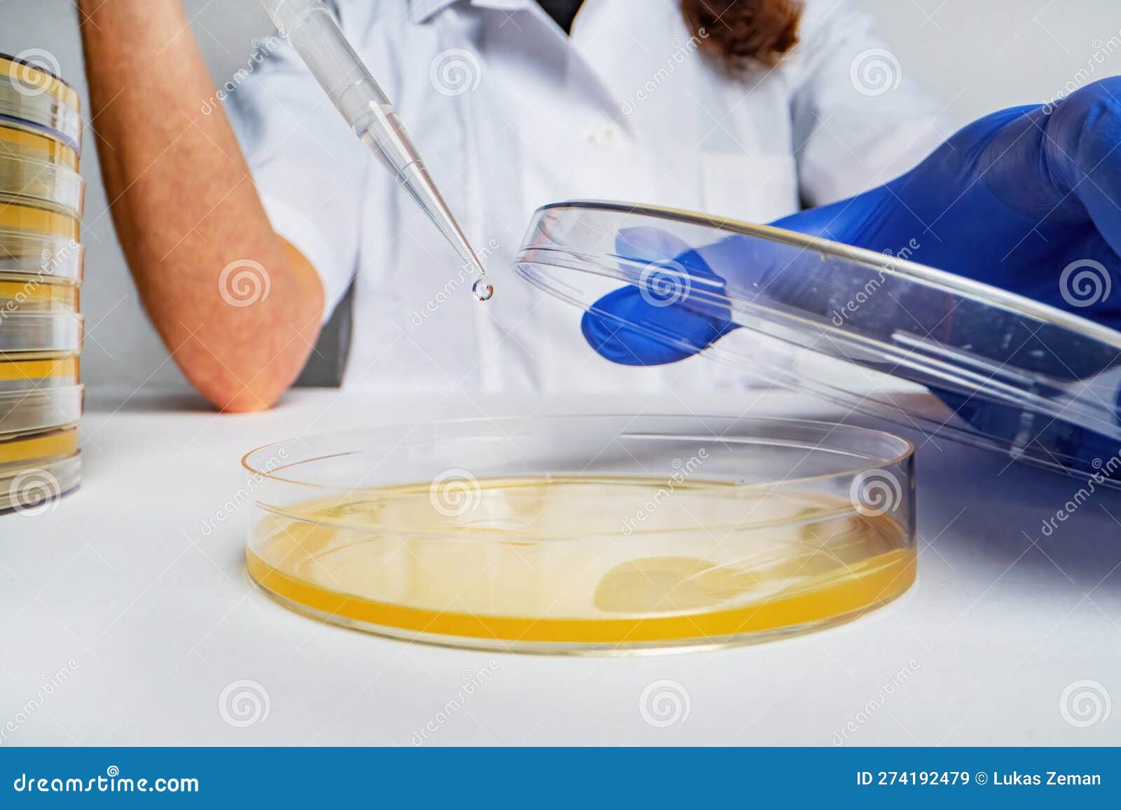 Scientist Doctor Drips a Sample into a Beaker Stock Image - Image of ...