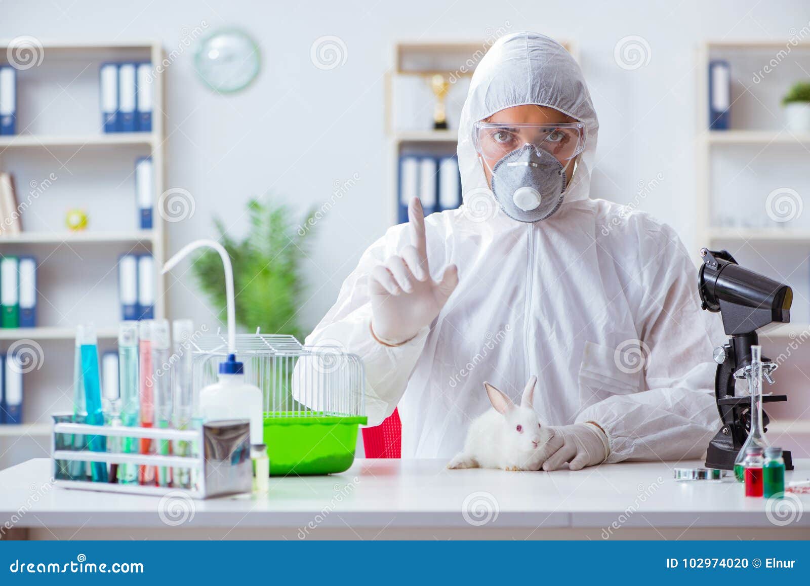 The Scientist Doing Animal Experiment in Lab with Rabbit Stock Photo ...