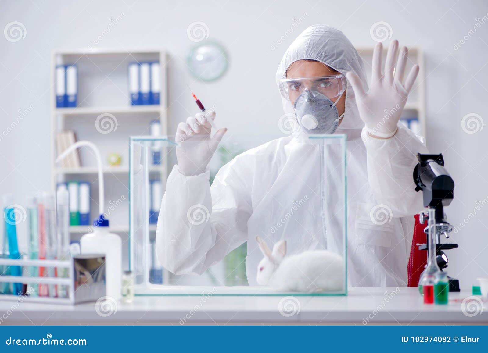 The Scientist Doing Animal Experiment in Lab with Rabbit Stock Photo ...