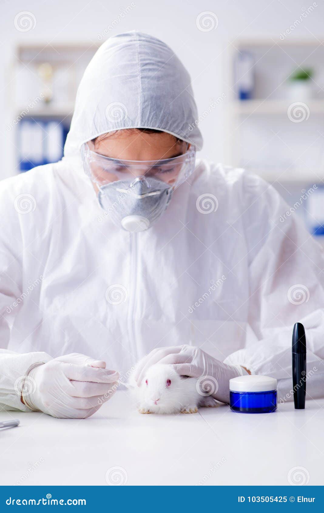 The Scientist Doing Animal Experiment in Lab with Rabbit Stock Image ...