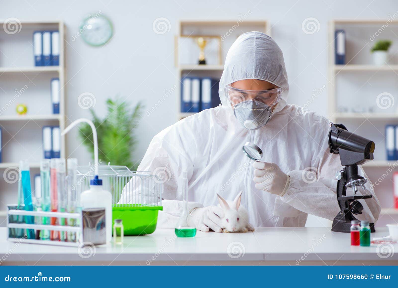 The Scientist Doing Animal Experiment in Lab with Rabbit Stock Photo ...