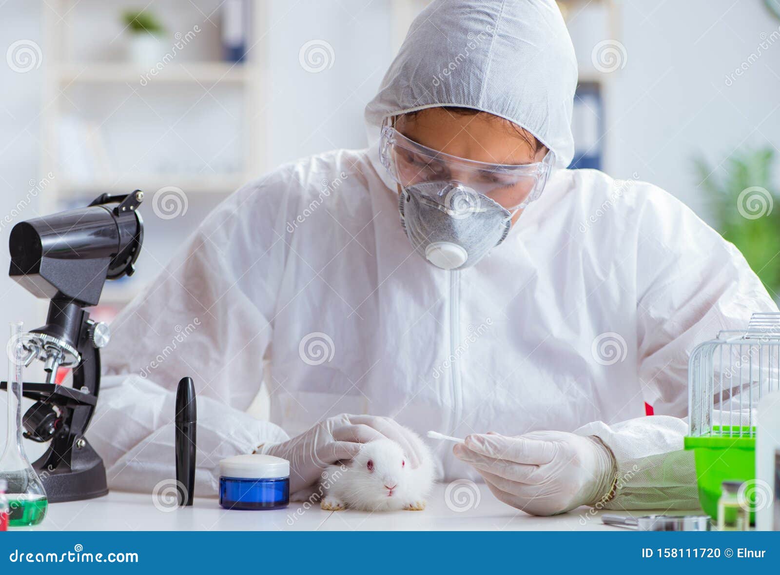 Scientist Doing Animal Experiment in Lab with Rabbit Stock Photo ...