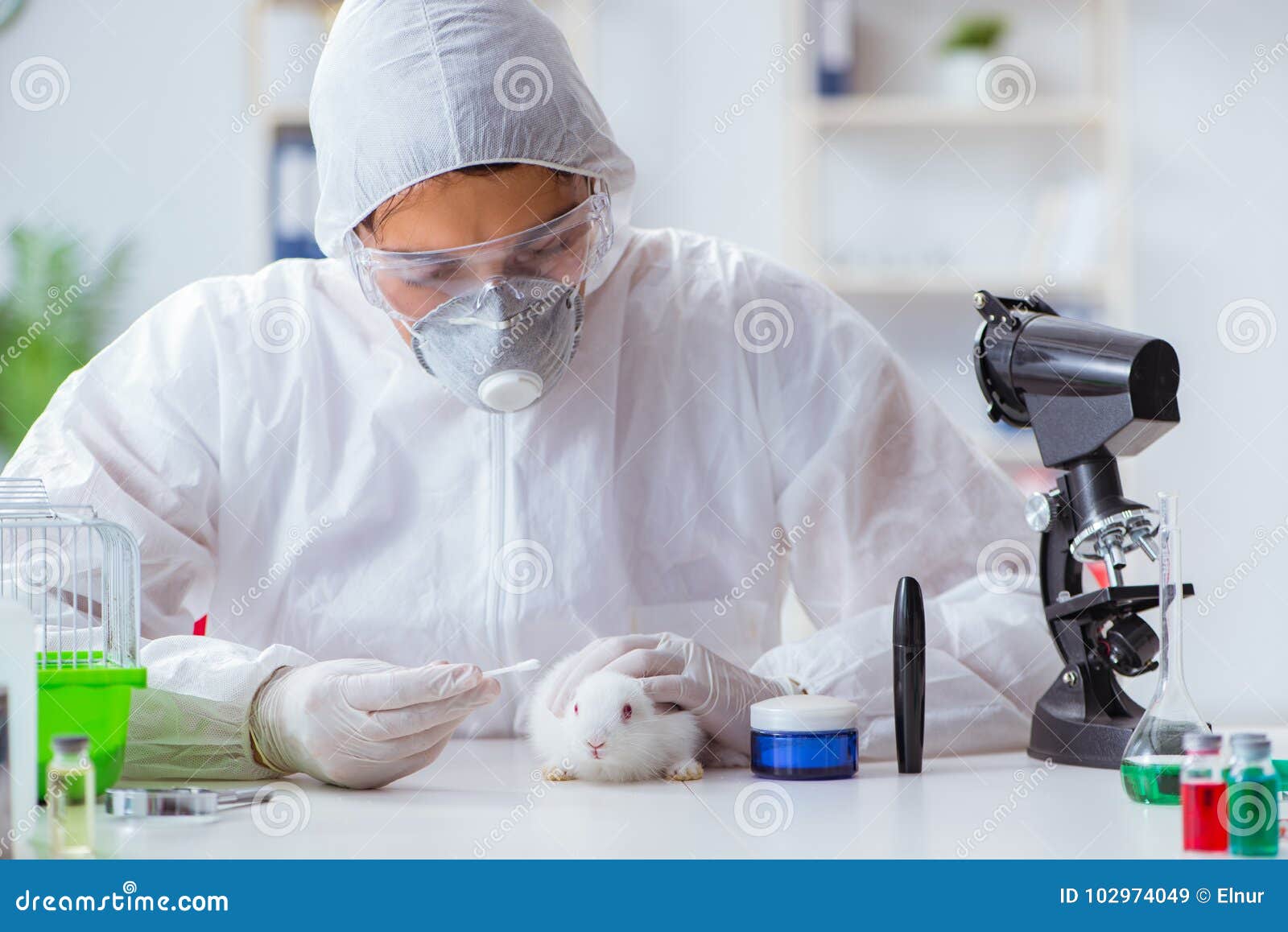 The Scientist Doing Animal Experiment in Lab with Rabbit Stock Image ...