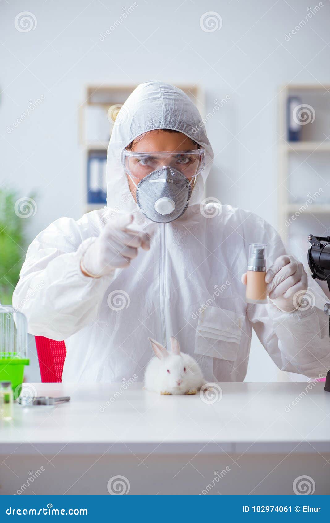 The Scientist Doing Animal Experiment in Lab with Rabbit Stock Image ...
