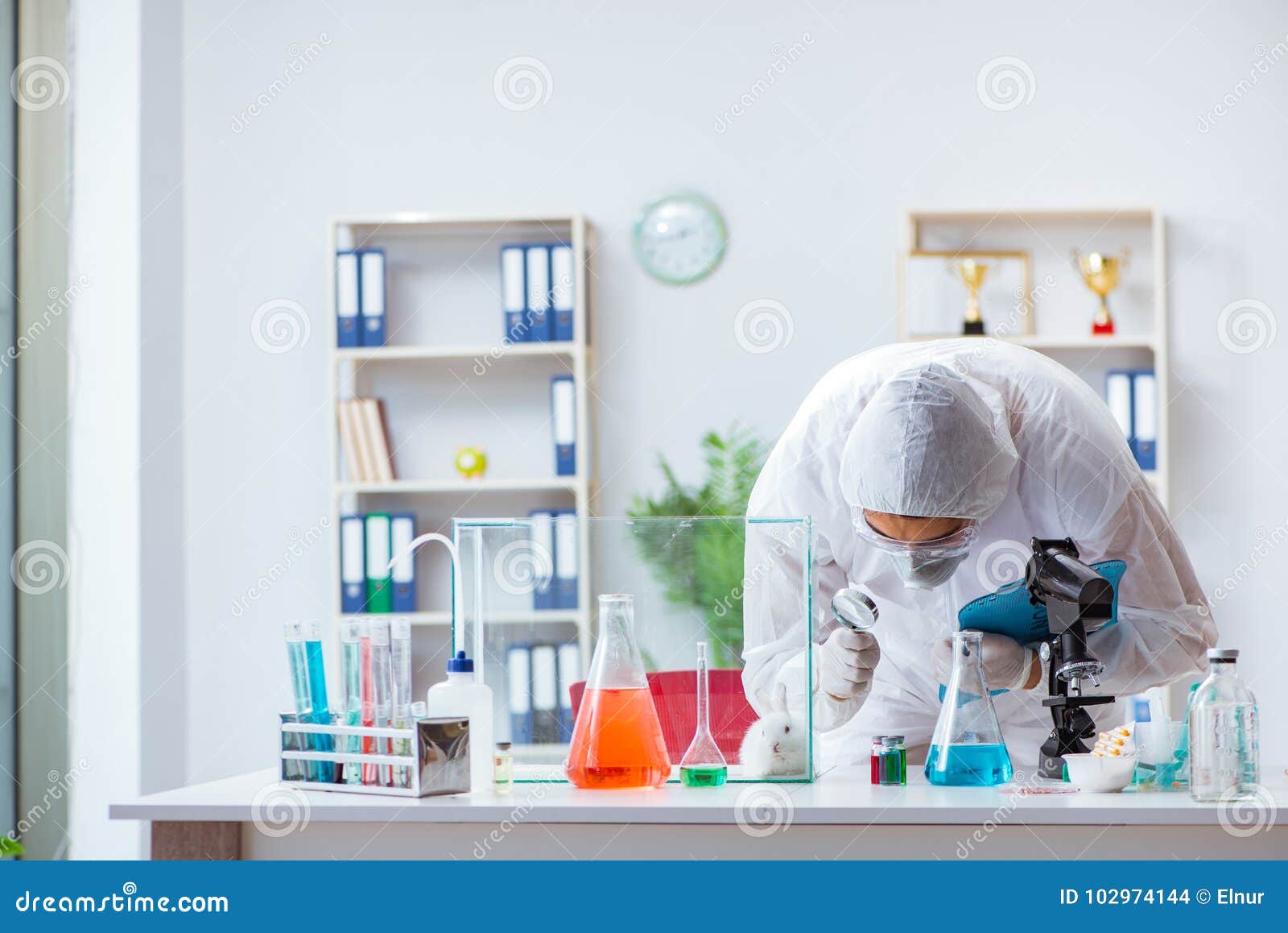 The Scientist Doing Animal Experiment in Lab with Rabbit Stock Photo ...