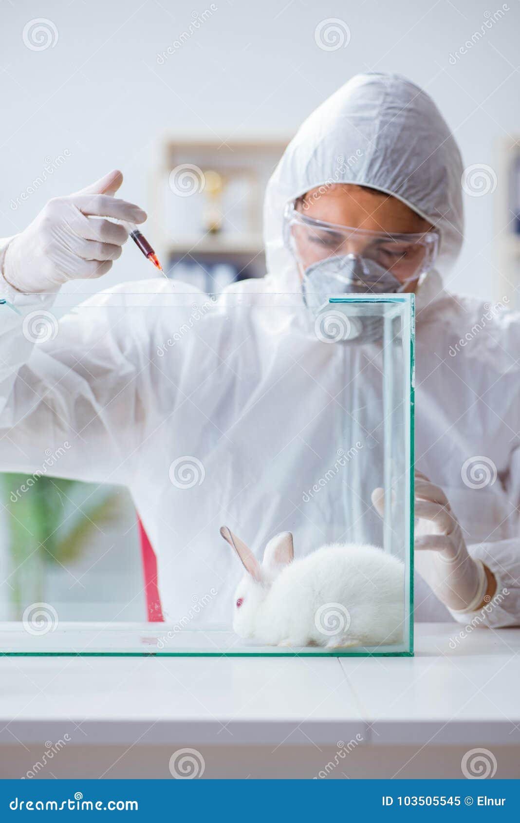 The Scientist Doing Animal Experiment in Lab with Rabbit Stock Image ...