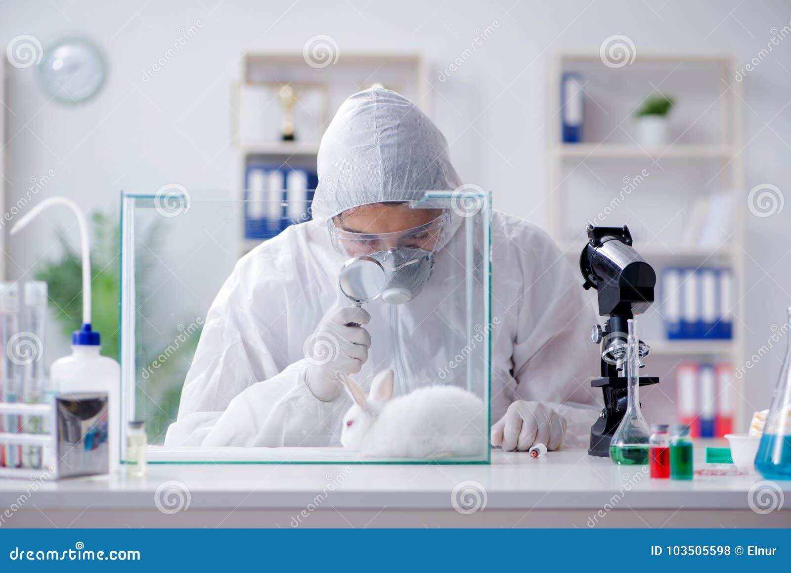 The Scientist Doing Animal Experiment in Lab with Rabbit Stock Photo ...