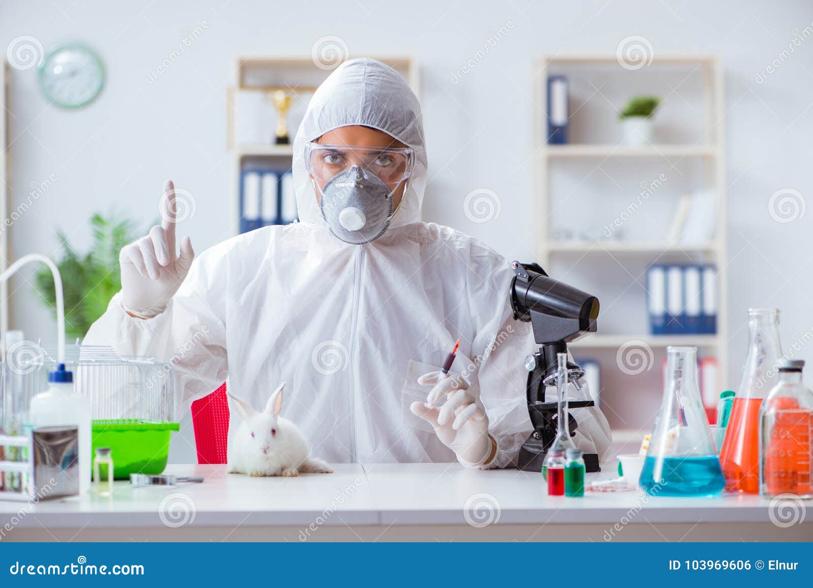 The Scientist Doing Animal Experiment in Lab with Rabbit Stock Photo ...