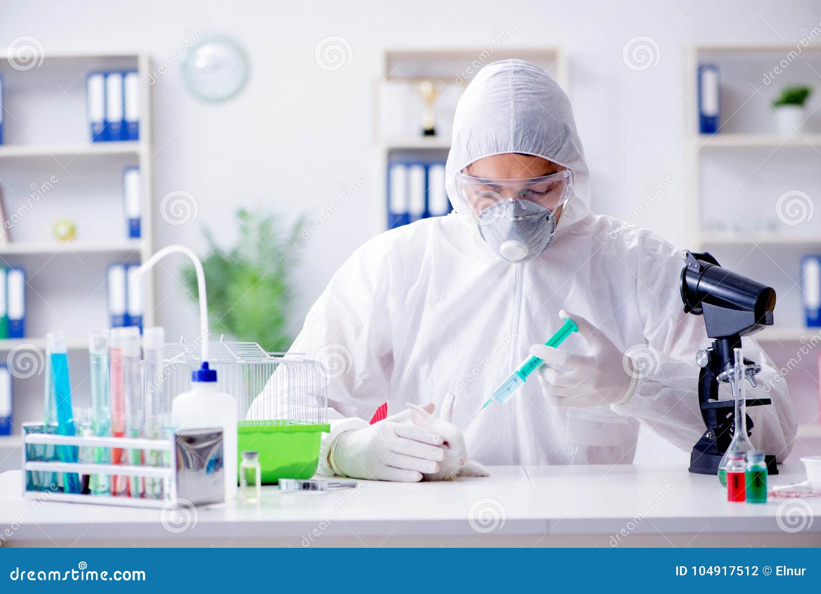 The Scientist Doing Animal Experiment in Lab with Rabbit Stock Photo ...