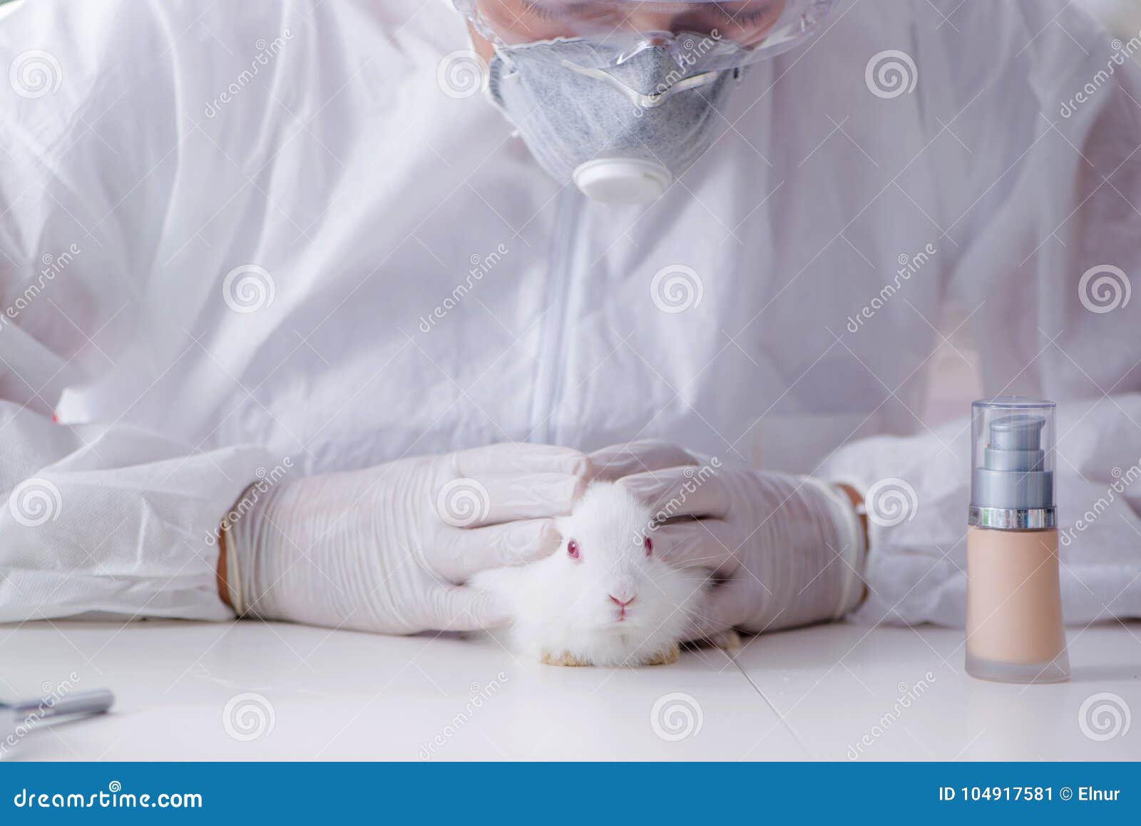 The Scientist Doing Animal Experiment in Lab with Rabbit Stock Image ...