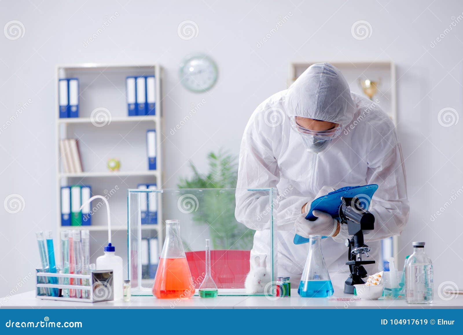 The Scientist Doing Animal Experiment in Lab with Rabbit Stock Image ...