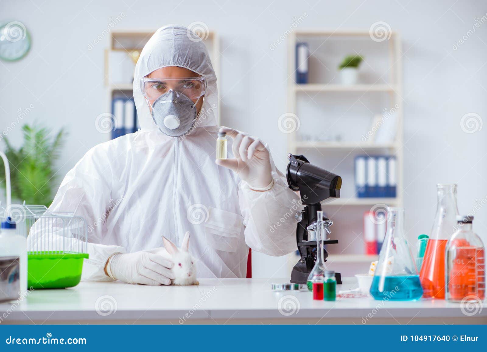 The Scientist Doing Animal Experiment in Lab with Rabbit Stock Photo ...