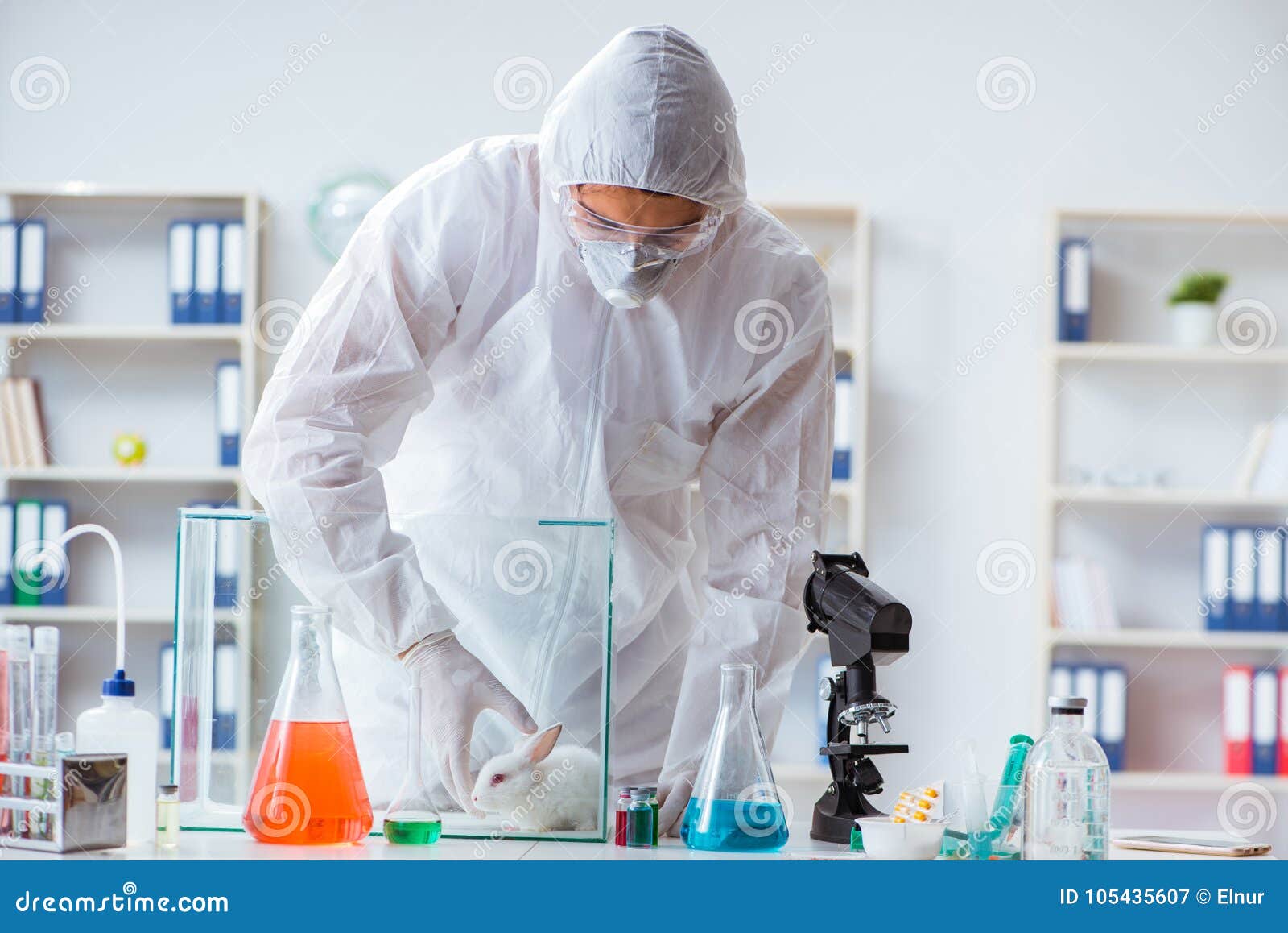 The Scientist Doing Animal Experiment in Lab with Rabbit Stock Image ...