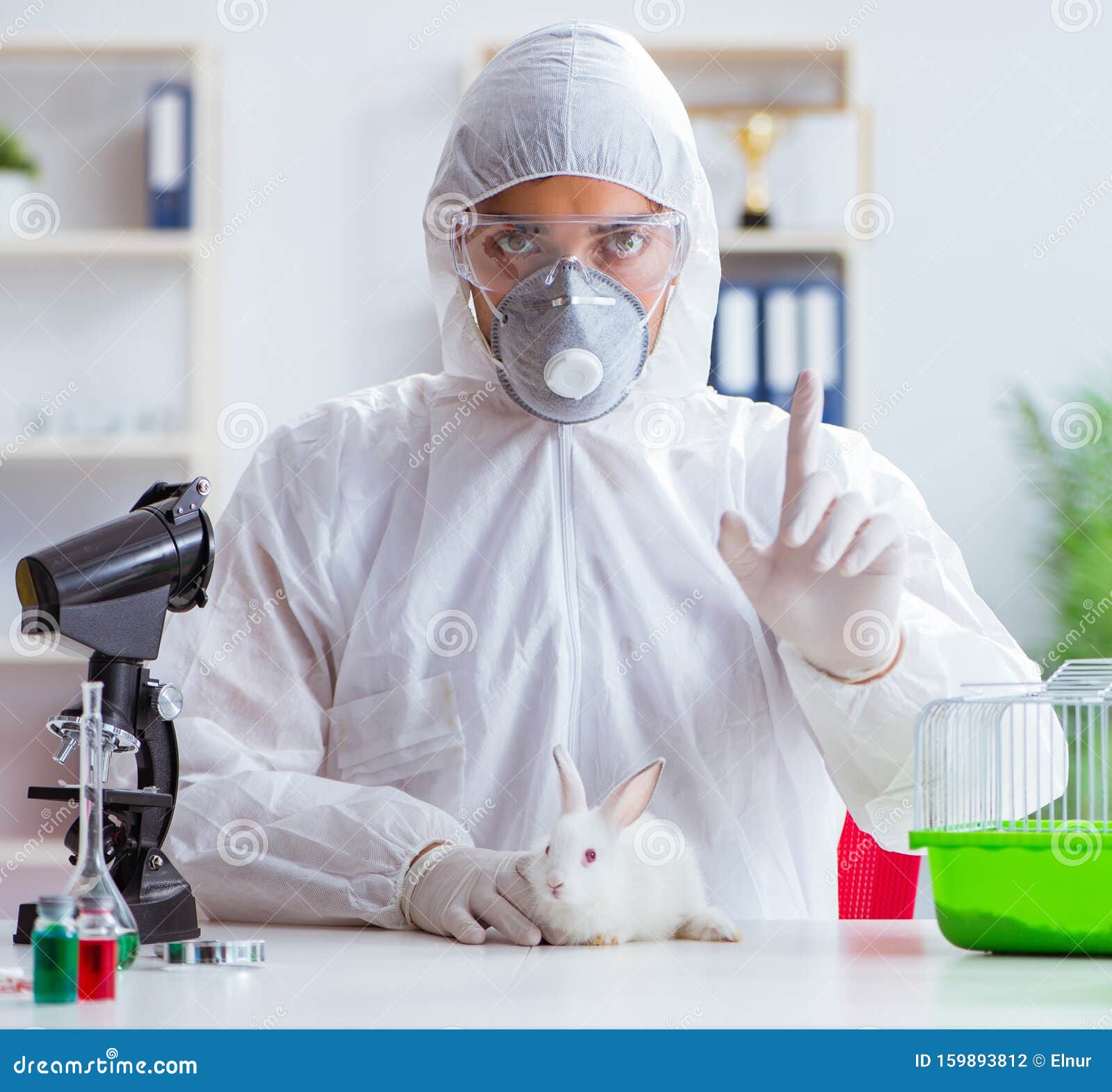Scientist Doing Animal Experiment in Lab with Rabbit Stock Photo ...