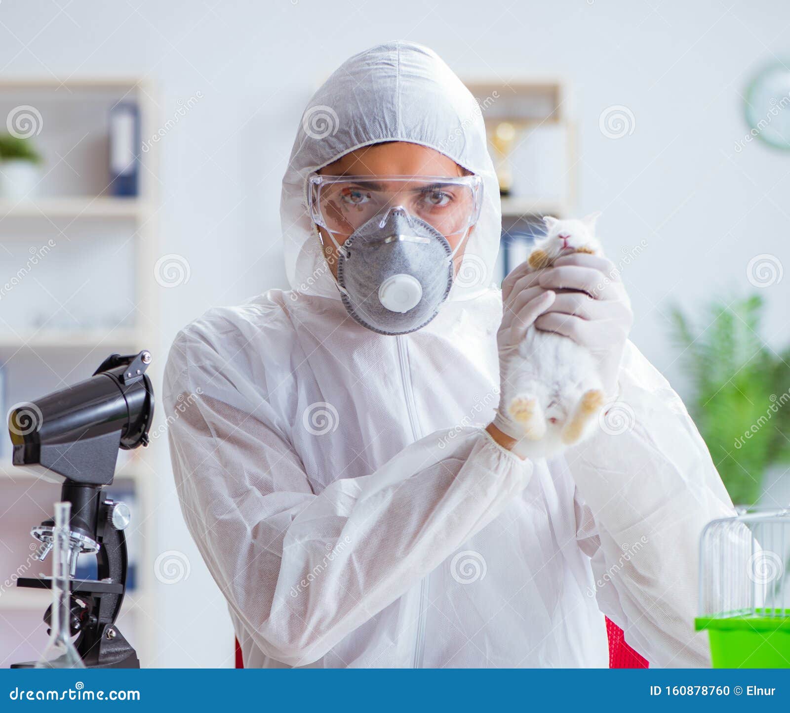 Scientist Doing Animal Experiment in Lab with Rabbit Stock Photo ...