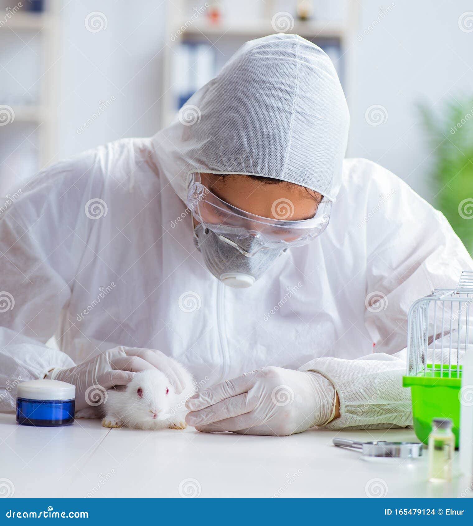 Scientist Doing Animal Experiment in Lab with Rabbit Stock Photo ...