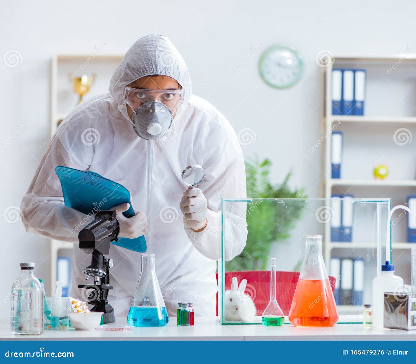 Scientist Doing Animal Experiment in Lab with Rabbit Stock Photo ...