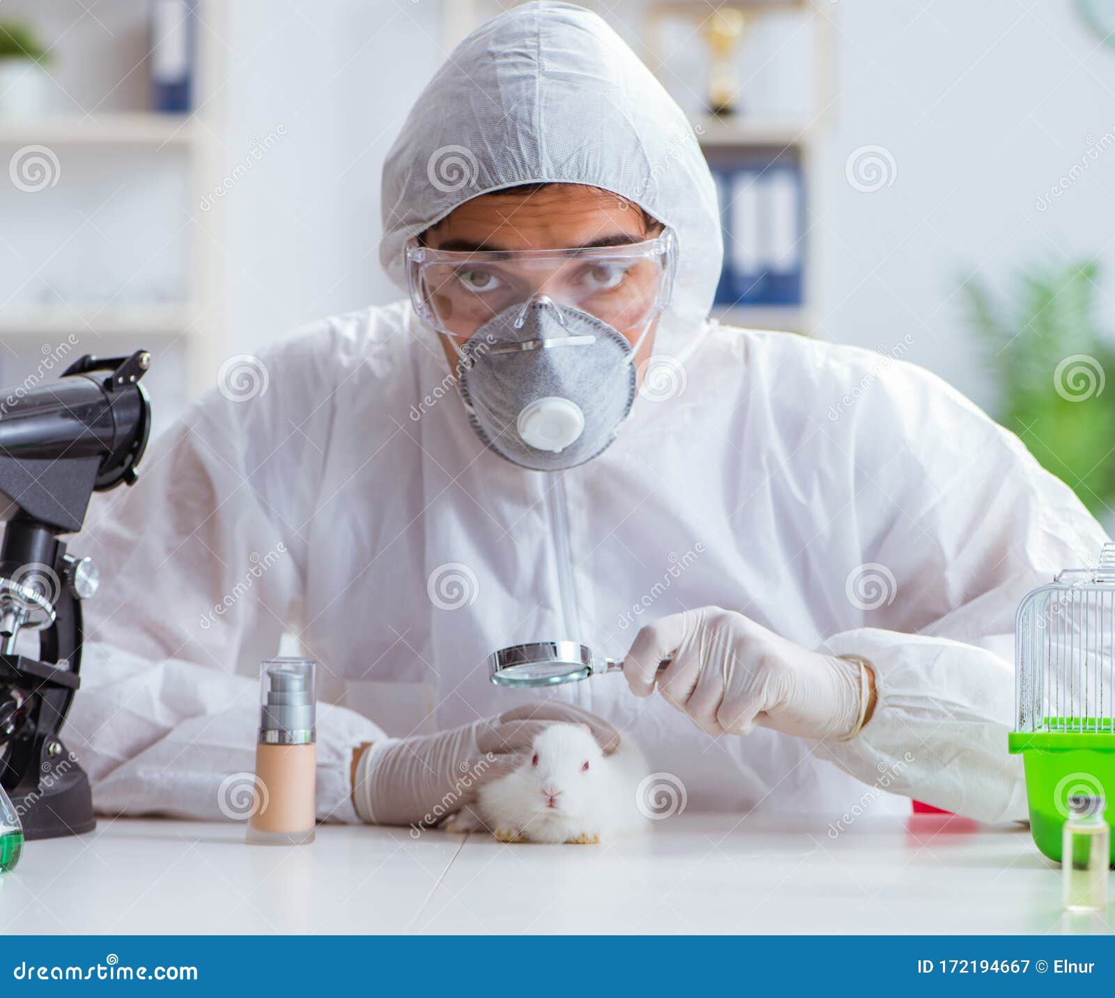 Scientist Doing Animal Experiment in Lab with Rabbit Stock Image ...