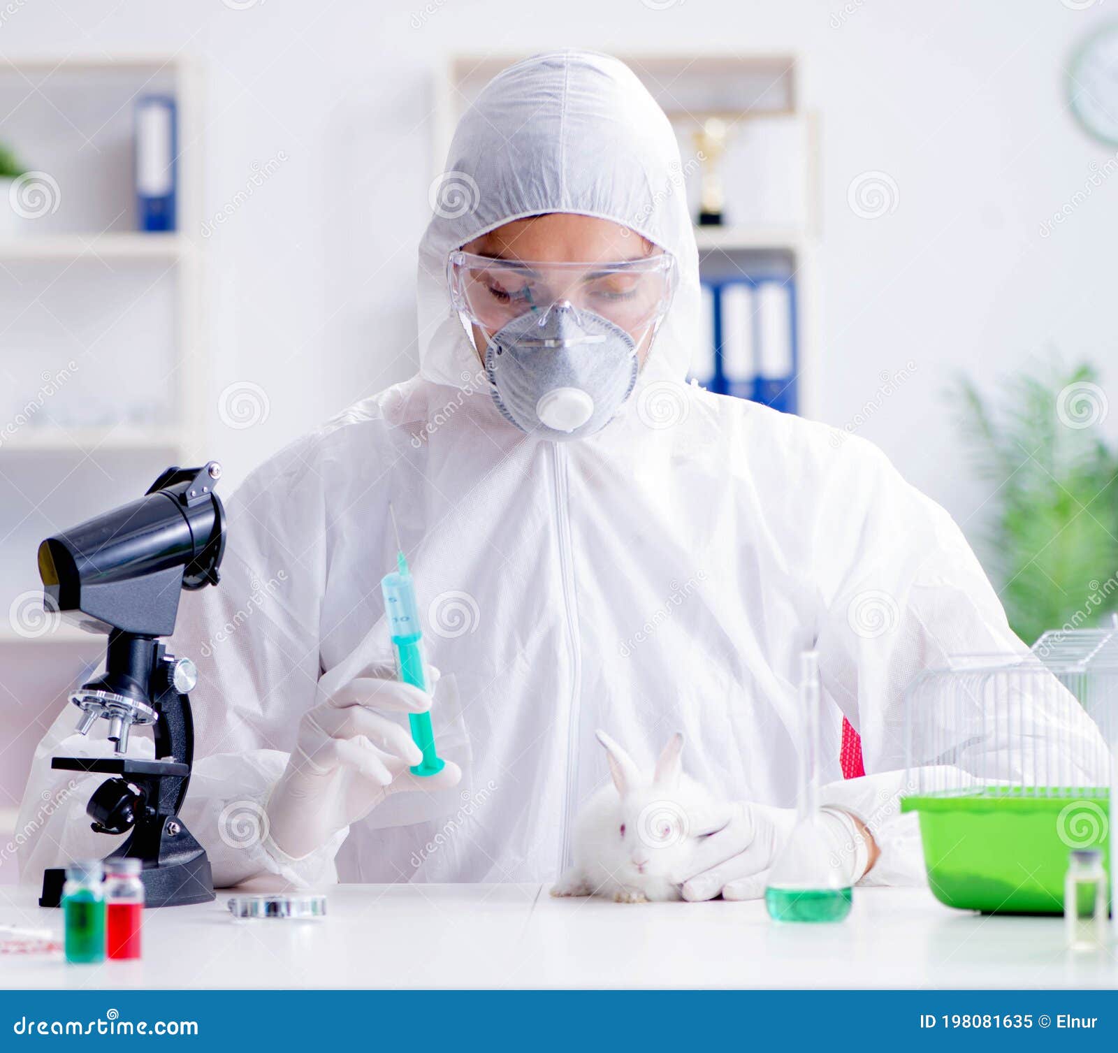 Scientist Doing Animal Experiment in Lab with Rabbit Stock Image ...