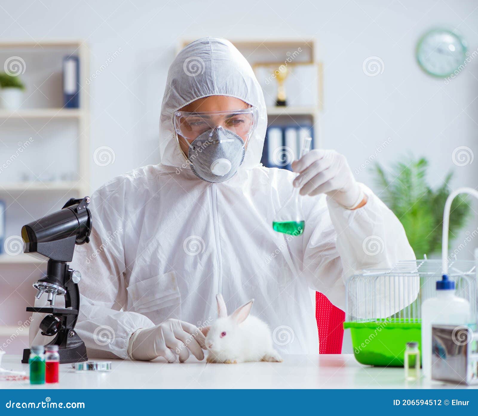 Scientist Doing Animal Experiment in Lab with Rabbit Stock Photo ...